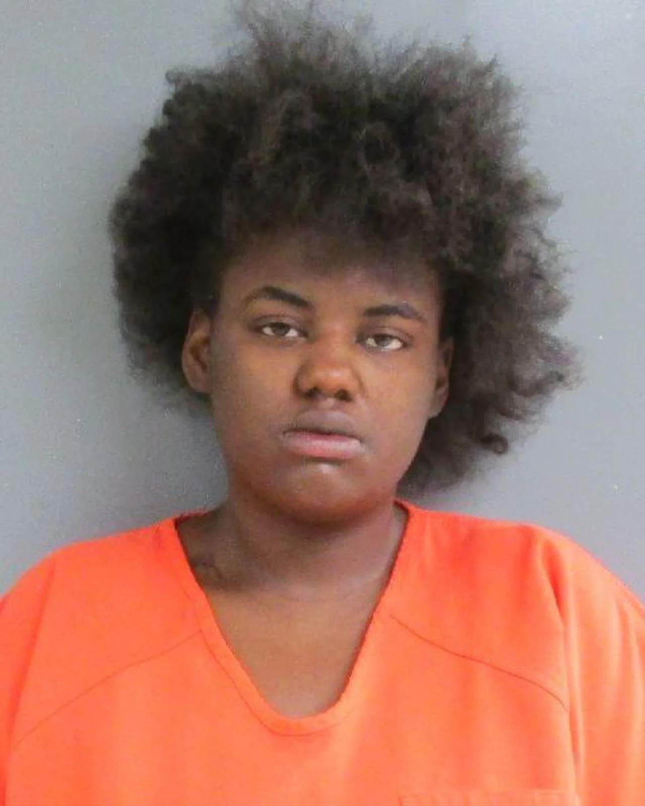 Sentenced: Michigan Woman Gets 210 Days In Jail For Fatally Stabbing ...