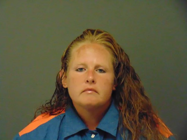 Sentenced: Michigan Woman Kidnaps 4 Kids Who Were Walking To School ...
