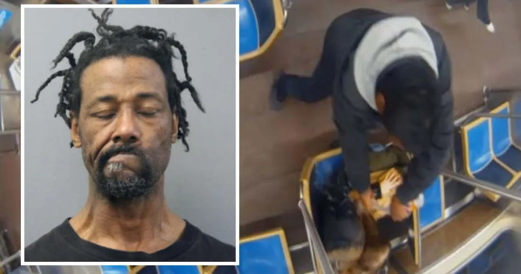 Repeat Offender Let Off By Lefty Judges Accused Of Setting Woman On ...